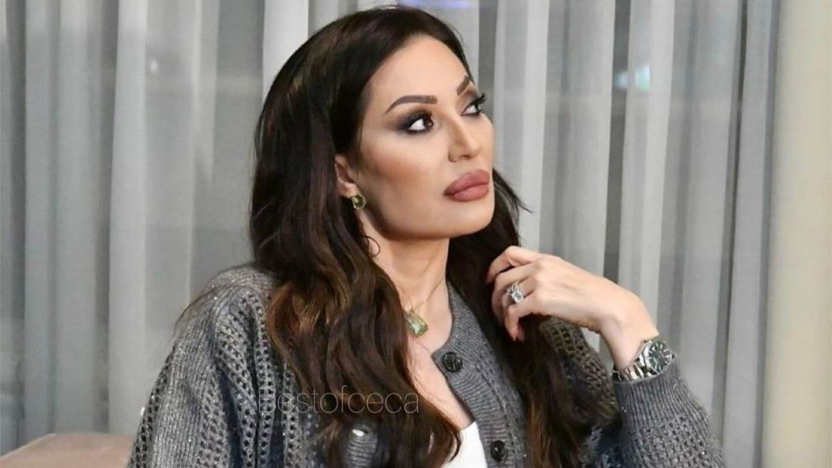 Ceca zakazala koncert 10 metara od hrvatske granice | Scena